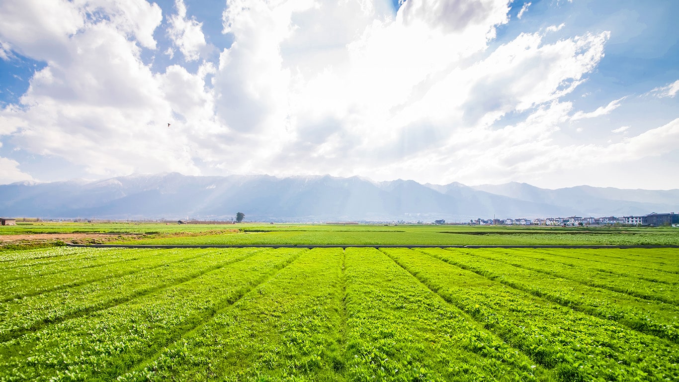 Modern Technology for Enhancing Agricultural Productivity - Tech Quintal