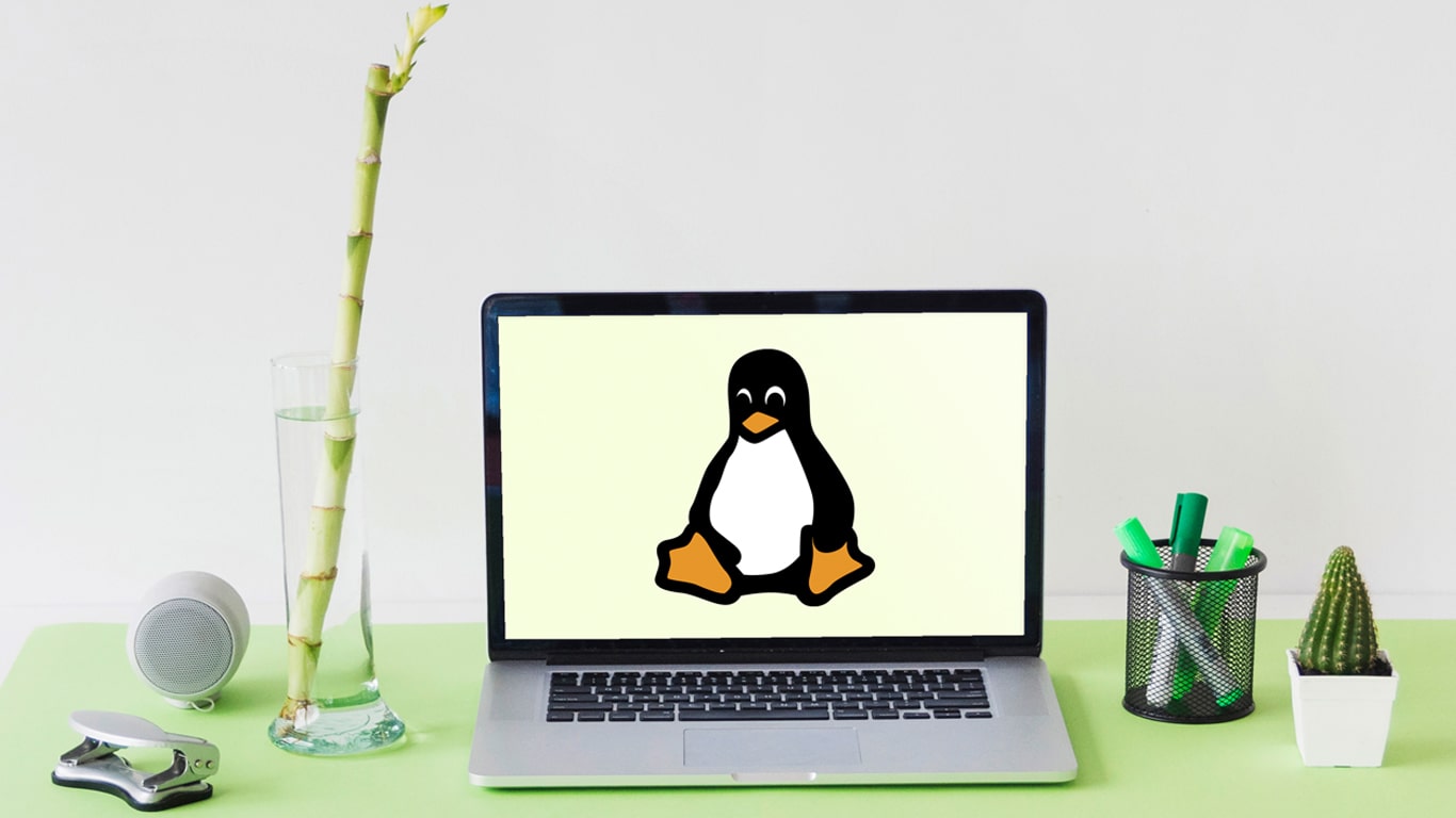 Best Advantages and Disadvantages of Linux - Tech Quintal