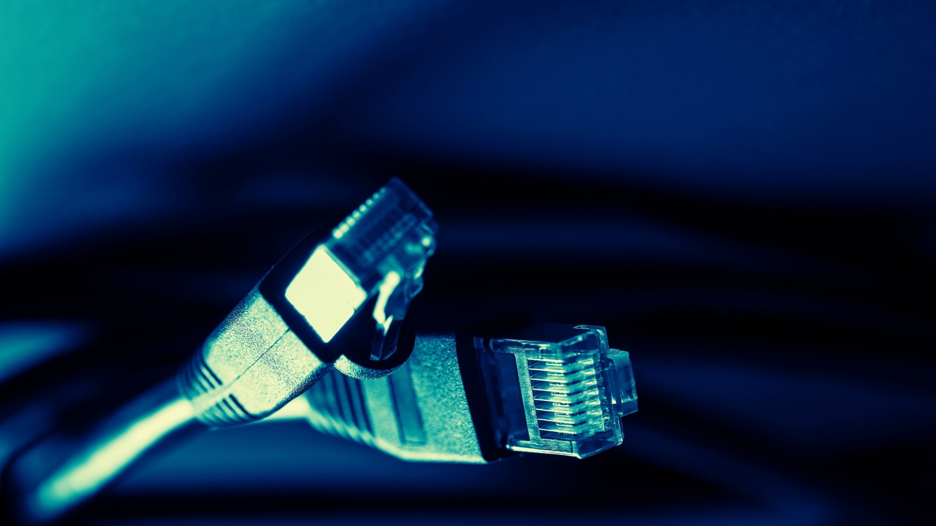 5 Types of Information Technology You Should Understand - Tech Quintal