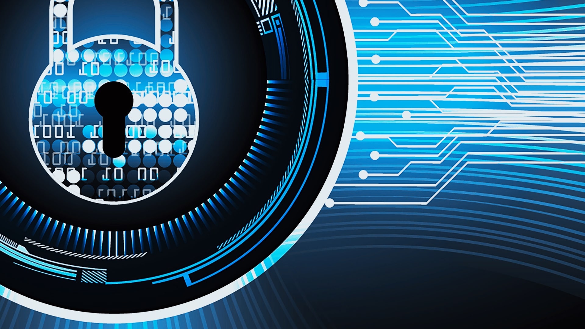 5 Types of Information Technology You Should Understand - Tech Quintal