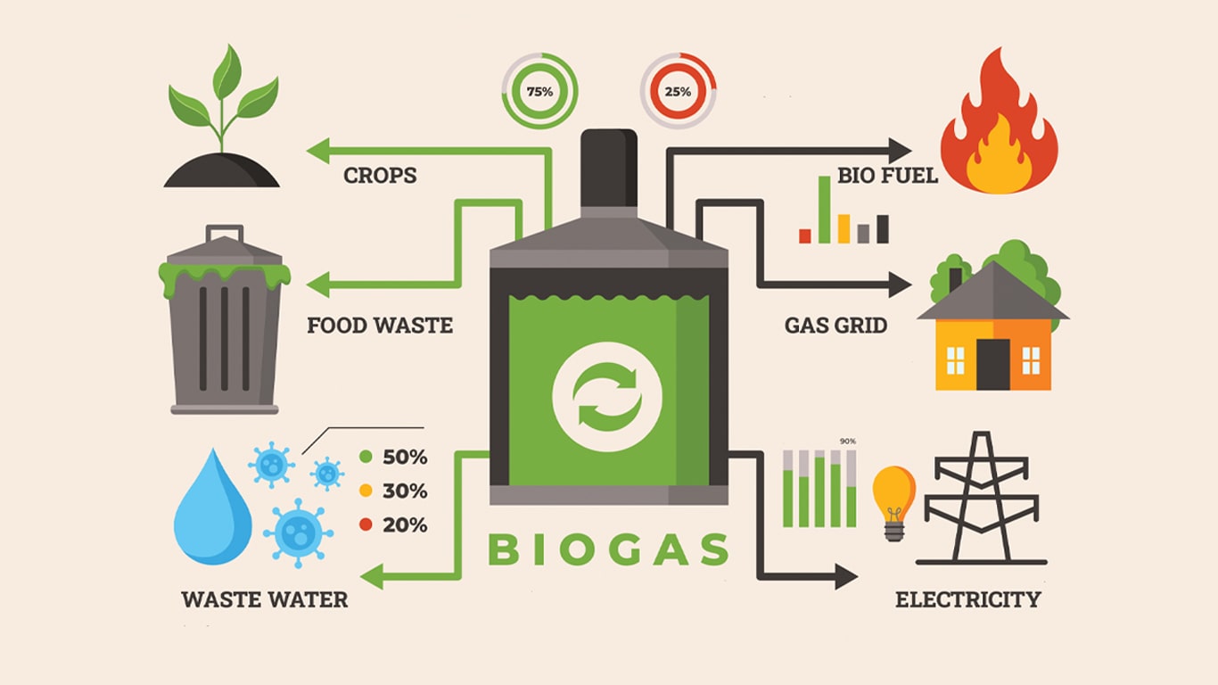 What is Biogas? Everything You Need to Understand - Tech Quintal What is Biogas? Everything You Need to Understand - Tech Quintal